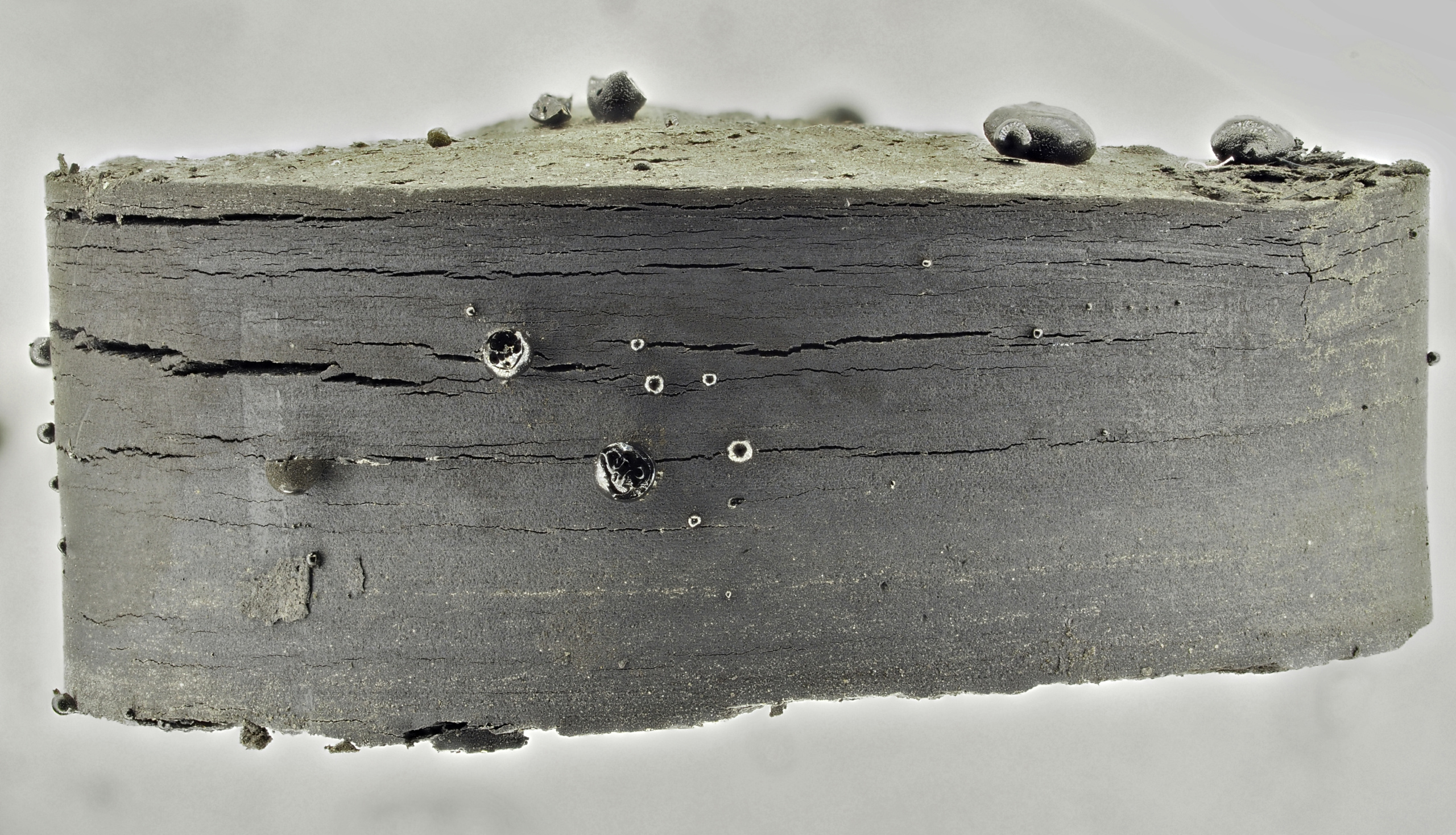 Monitoring of petroleum generation and expulsion from shale source ...